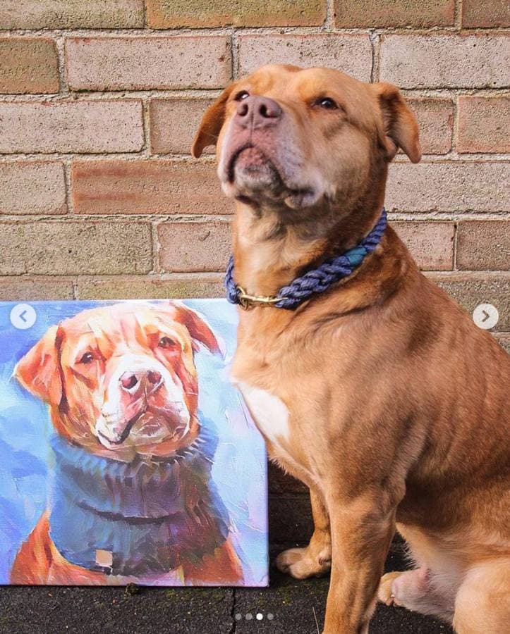 Custom Pet Portraits | Art in a Sec